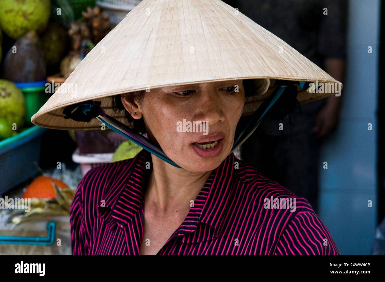 Portrait of a Vietnamese woman wearing a traditional conical hat in Saigon, Vietnam Stock Photo ...