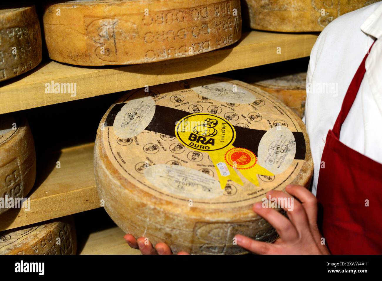 Tasty Italian cheese sold in Giolito cheese shop in Bra, Piedmont ...