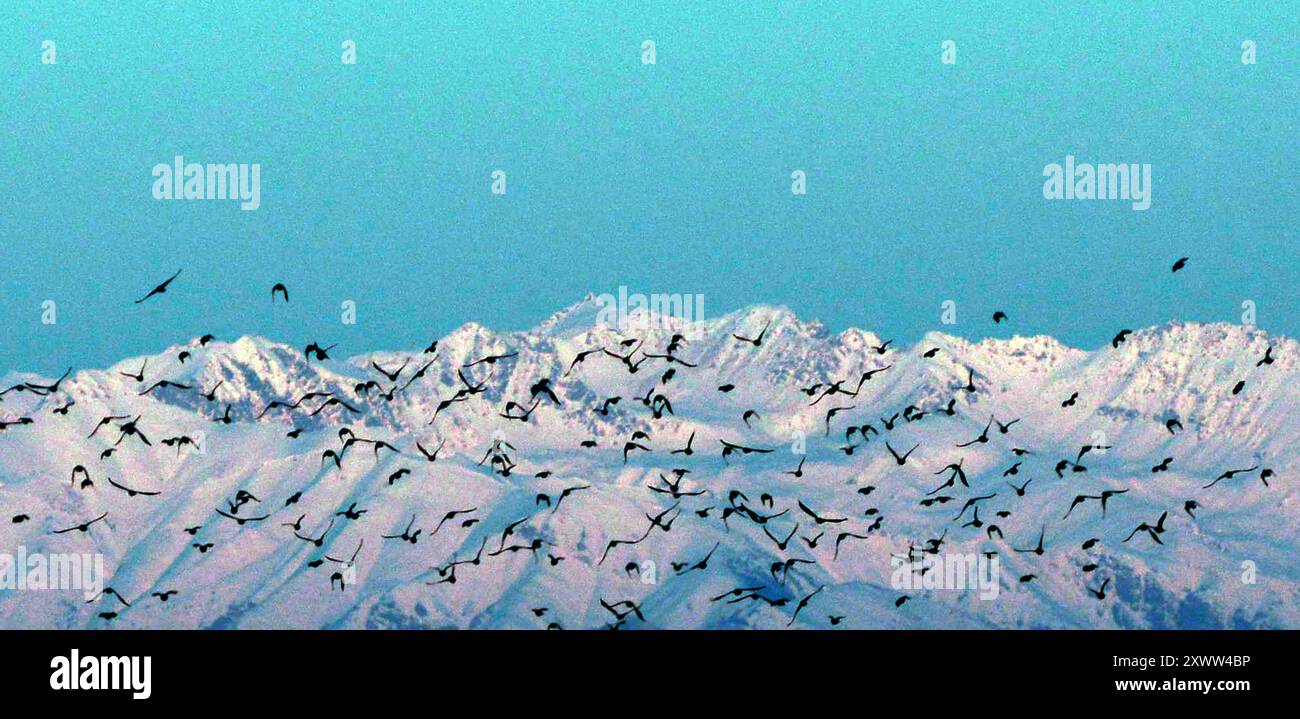 Italy piedmont bra hi-res stock photography and images - Alamy