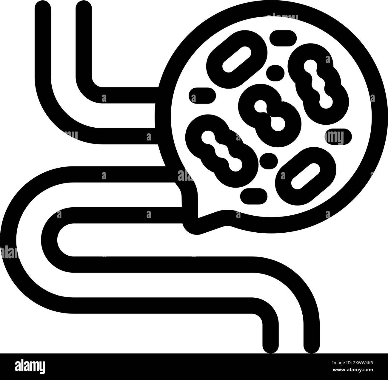 Human digestive system microbiota Black and White Stock Photos & Images ...