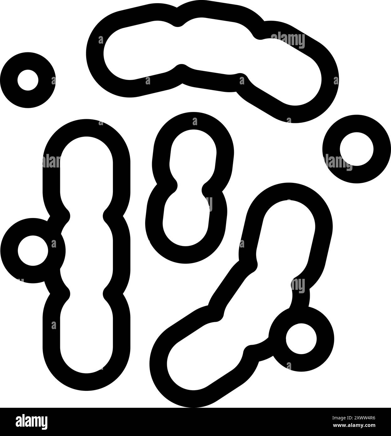 Black and white line art icon style graphic depicting various bacteria ...