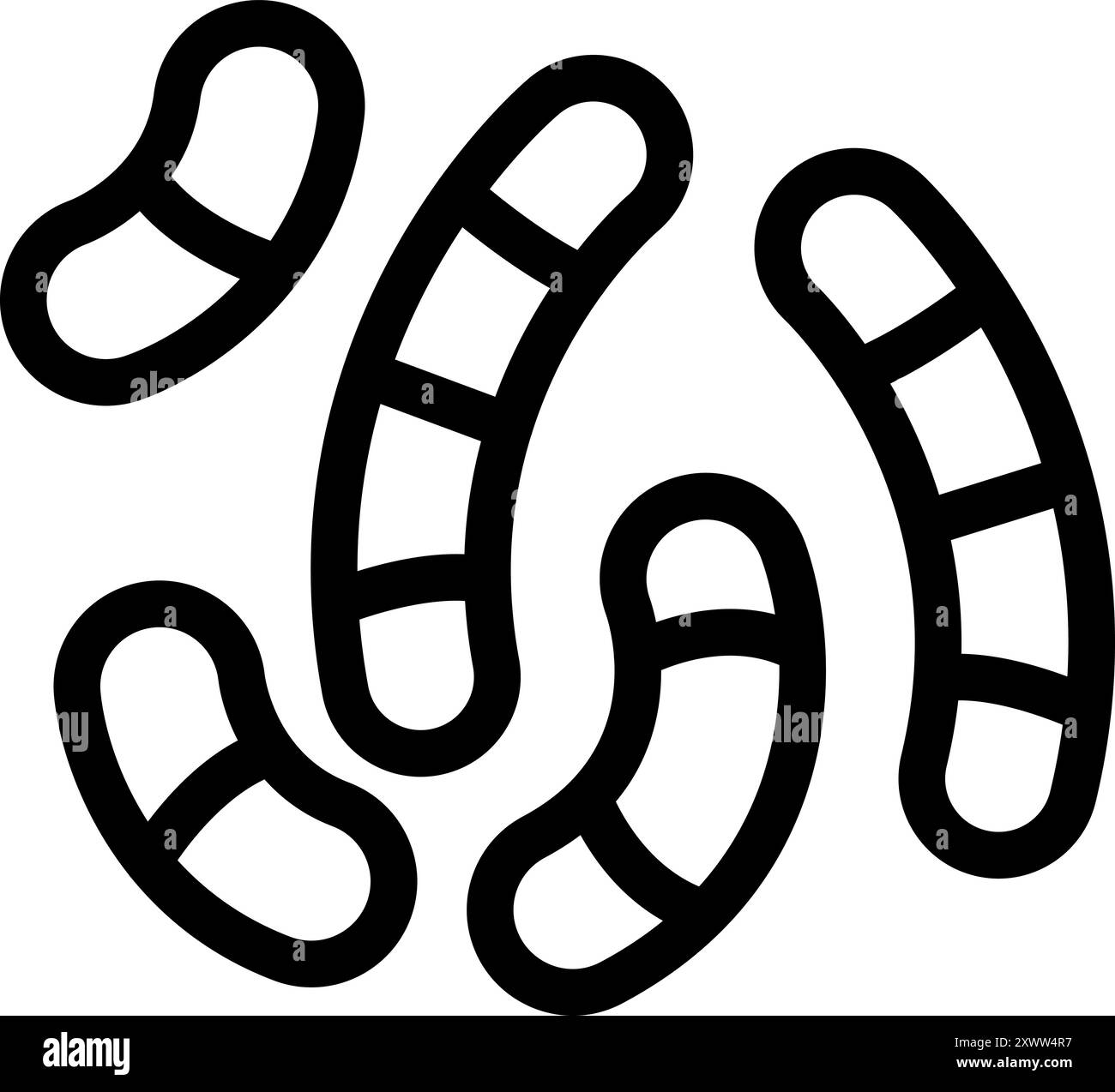 Group of capsule shaped bacteria is multiplying by fission Stock Vector ...