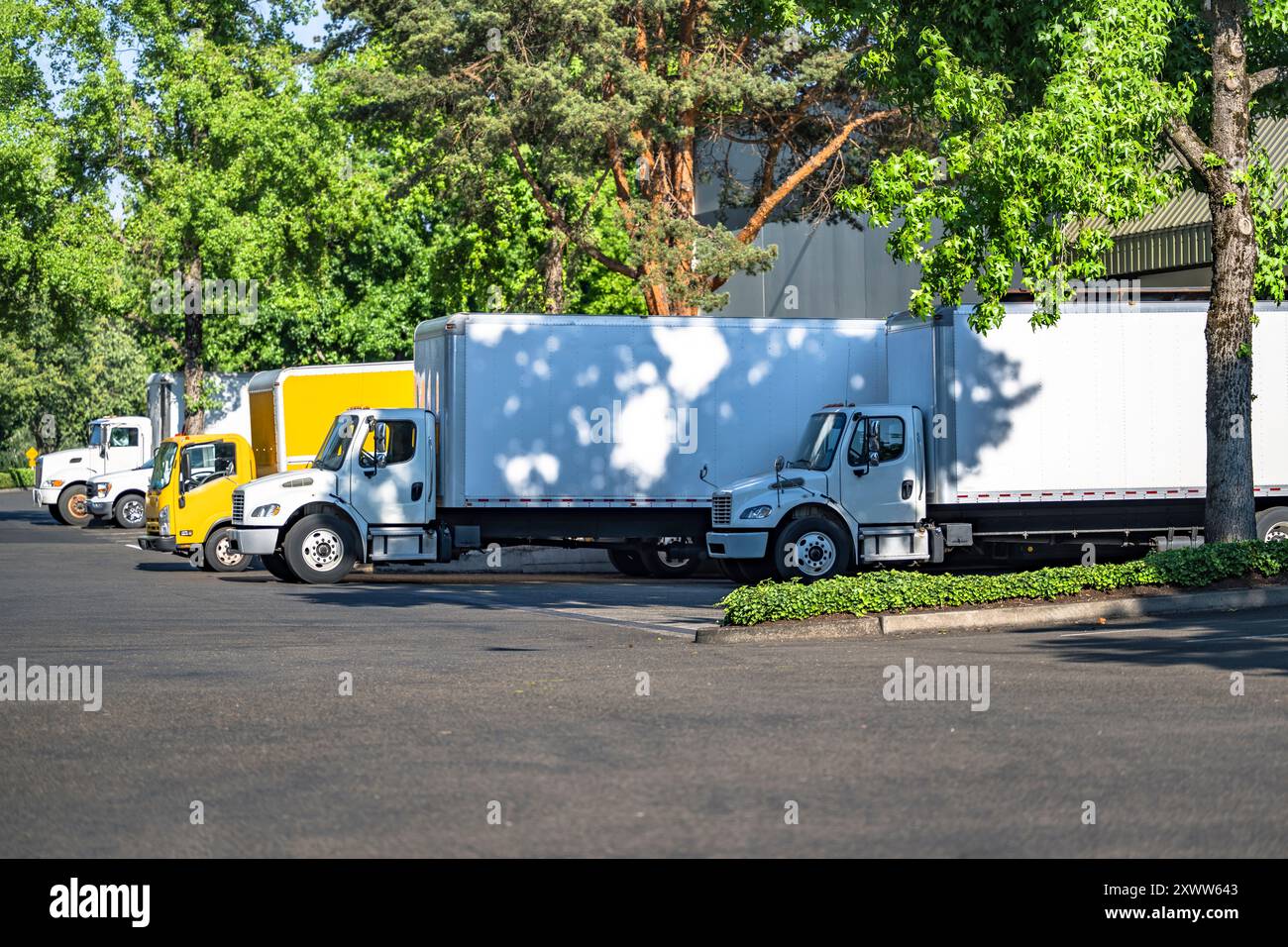 Middle duty Industrial standard white day cab rigs semi trucks with box ...