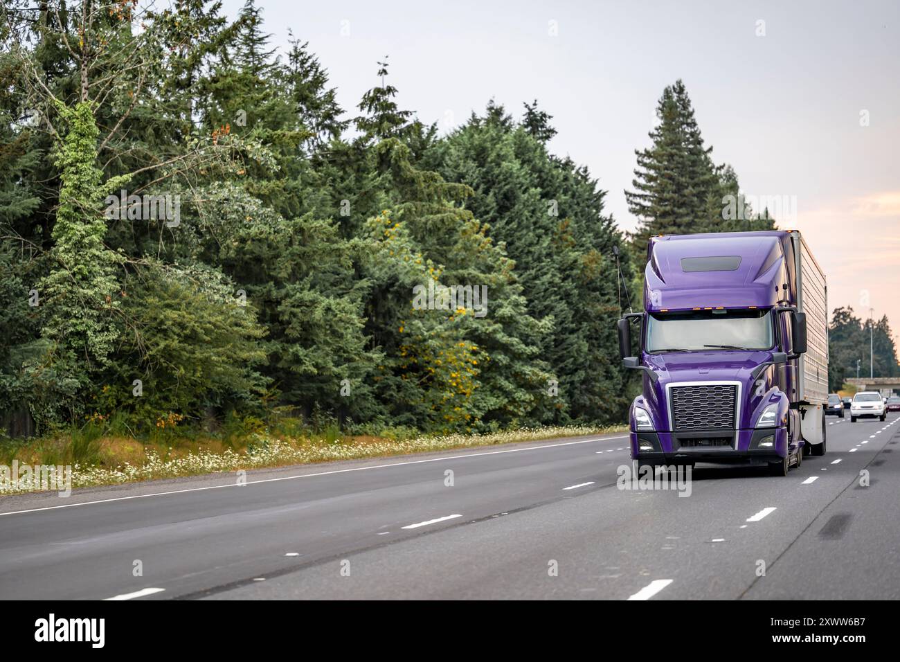 Industrial long haul purple big rig semi truck with extended cab for ...