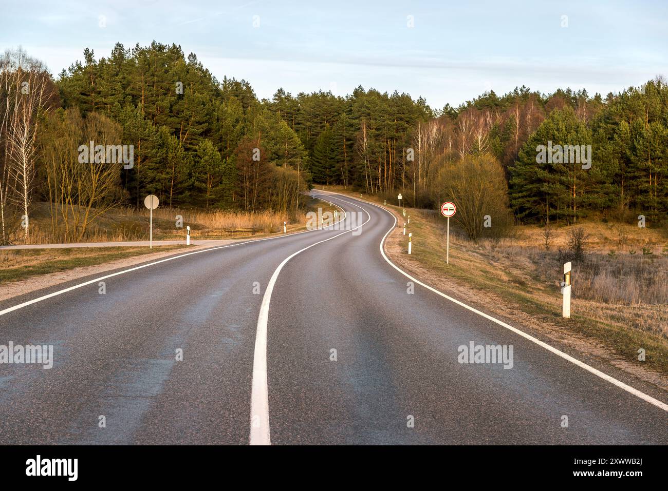 S-curve Country Road In A European Forest. Front View Of An Empty Curvy ...