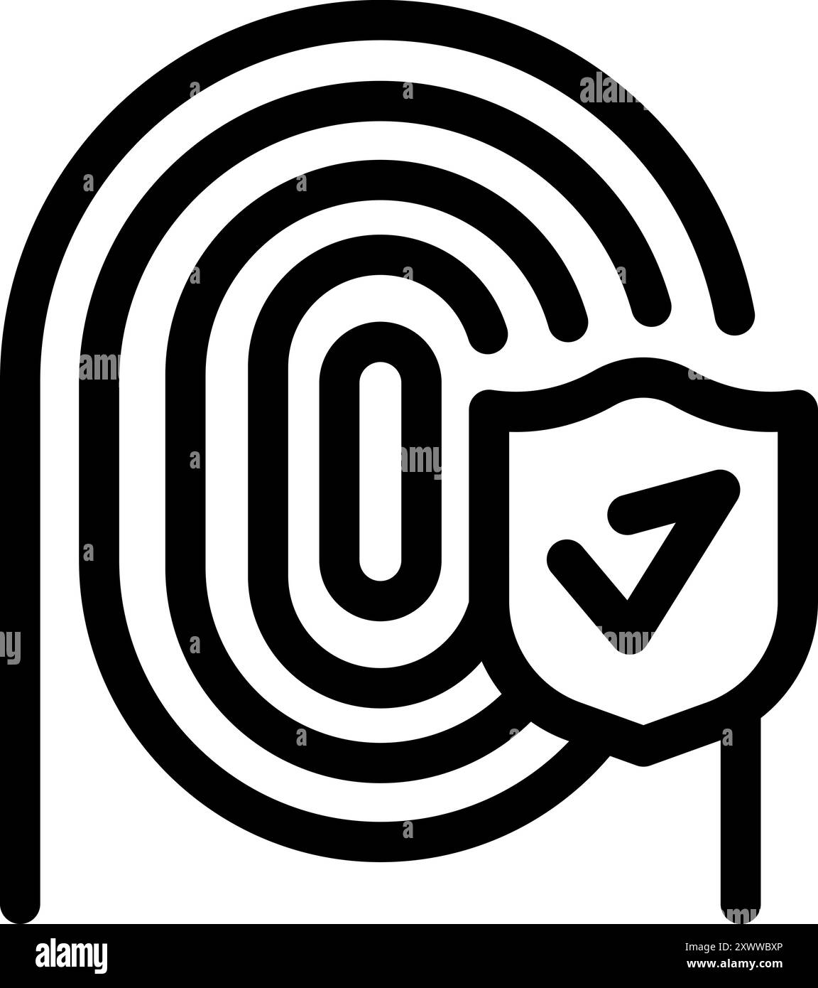 Fingerprint scan is being protected by a shield with a check mark, signifying safety and ...