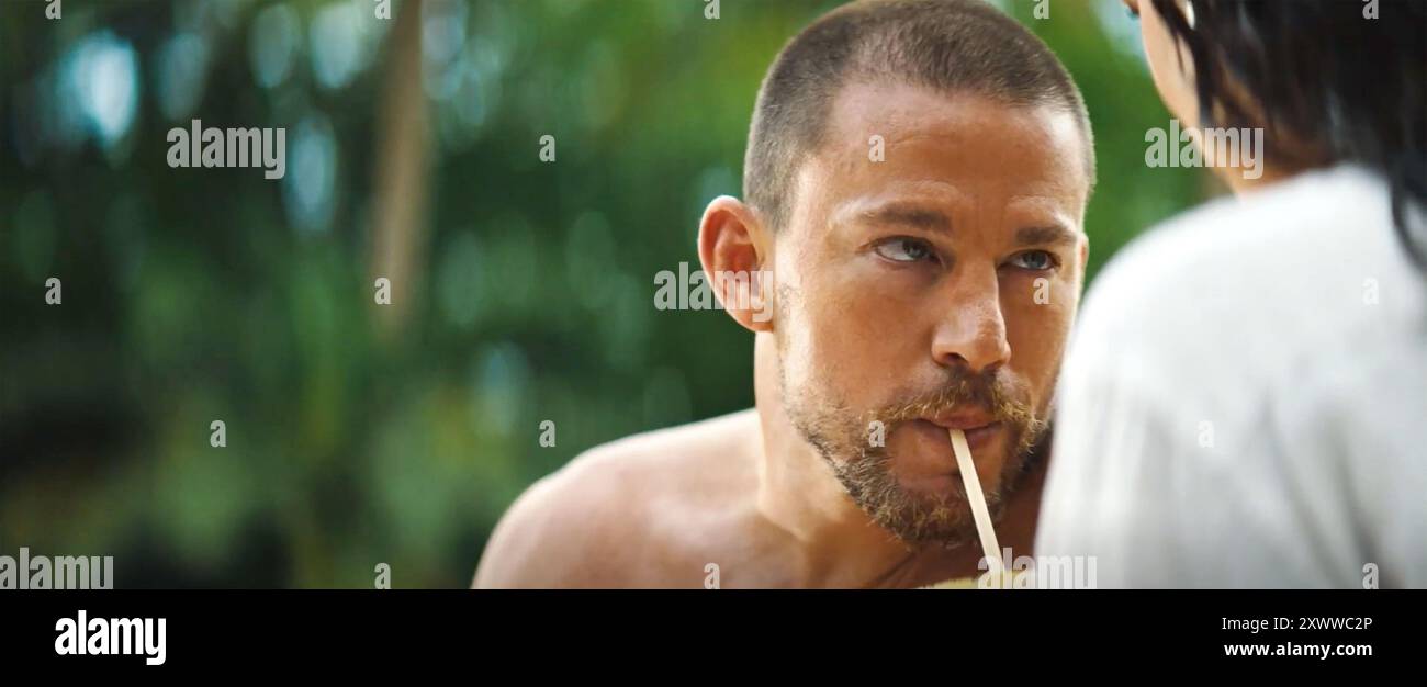 USA. Channing Tatum in Blink Twice (C. MGM/Warners) is a 2024 American ...