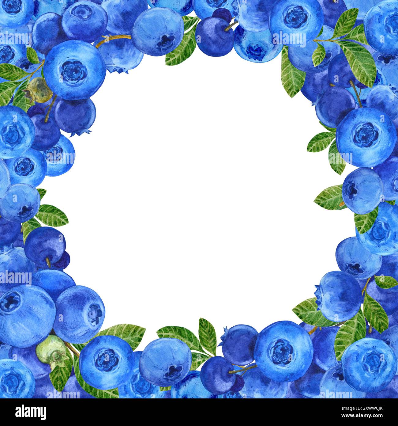 Botanical drawing blueberry hi-res stock photography and images - Alamy