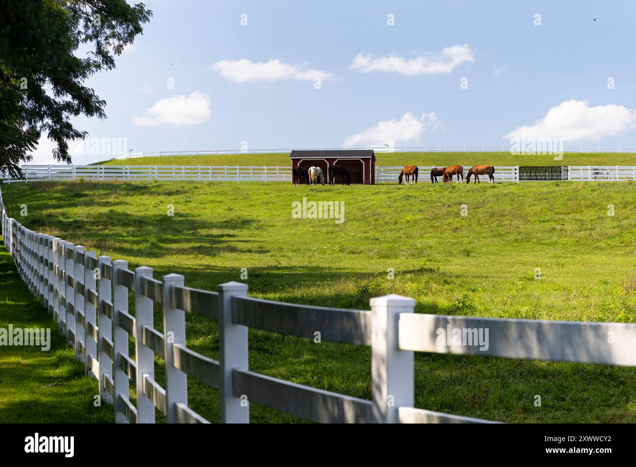 Land fenced off hi-res stock photography and images - Alamy