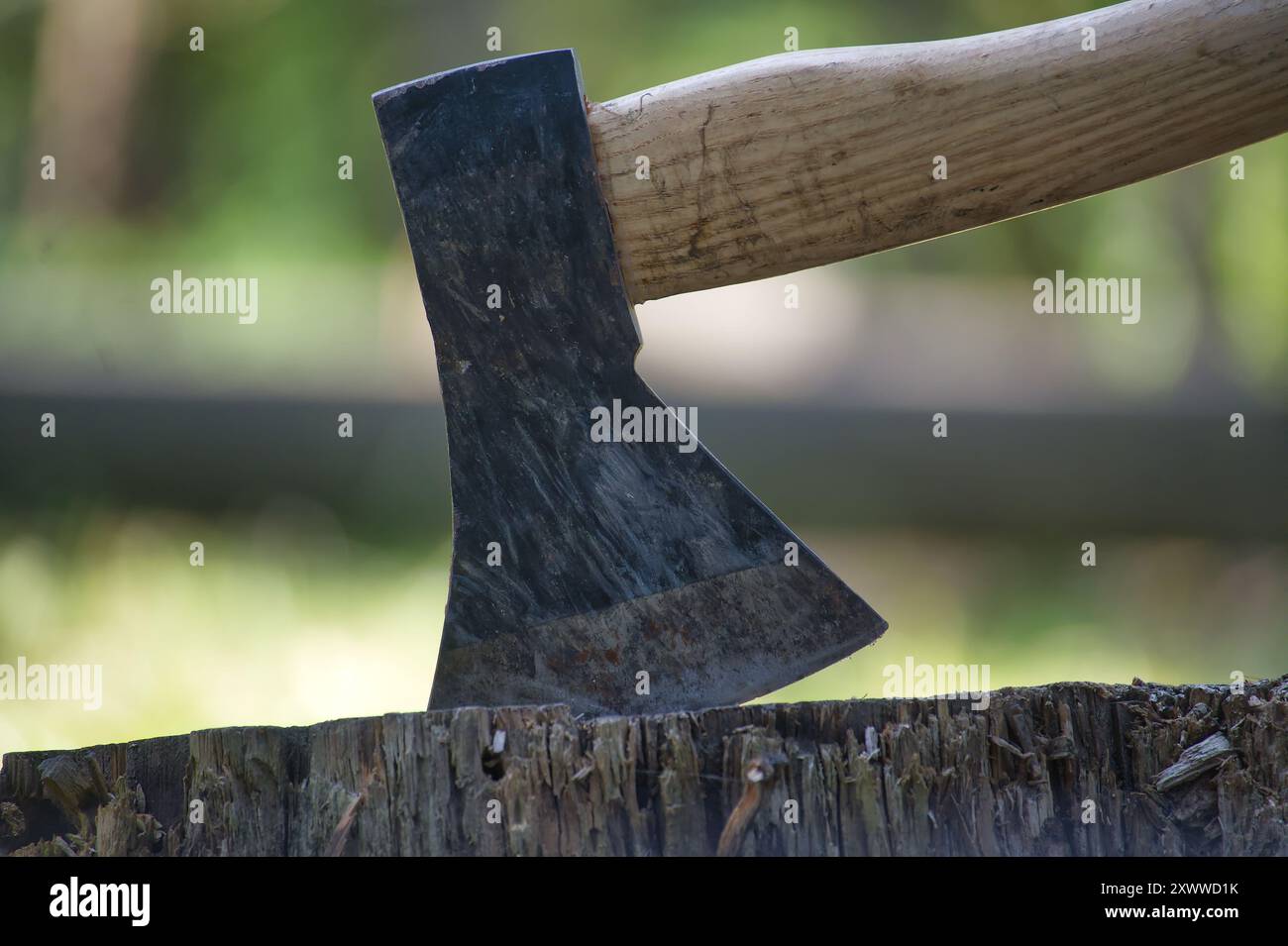 Close-up photograph of an axe stuck in a wooden tree stump ...