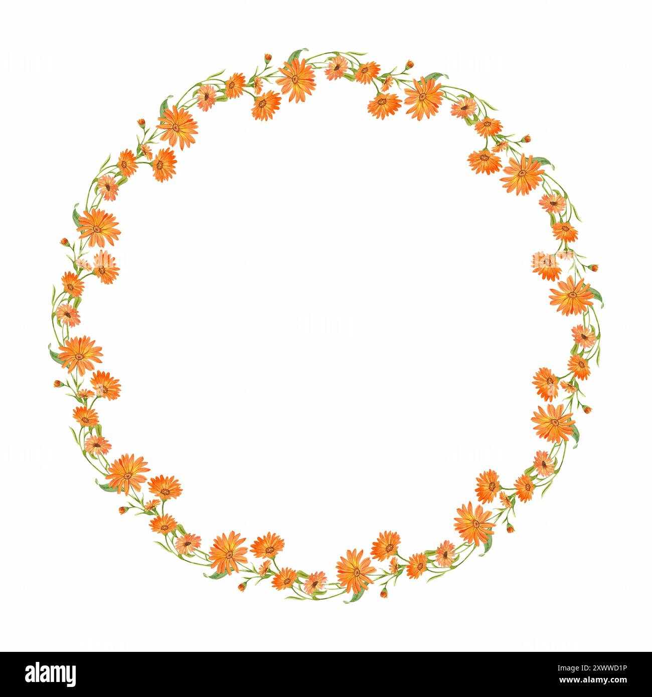 A beautiful wreath of calendula. Round flower arrangement on a white ...