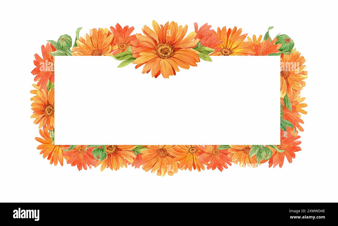 Watercolor floral frame. Bright orange calendula for design invitations ...
