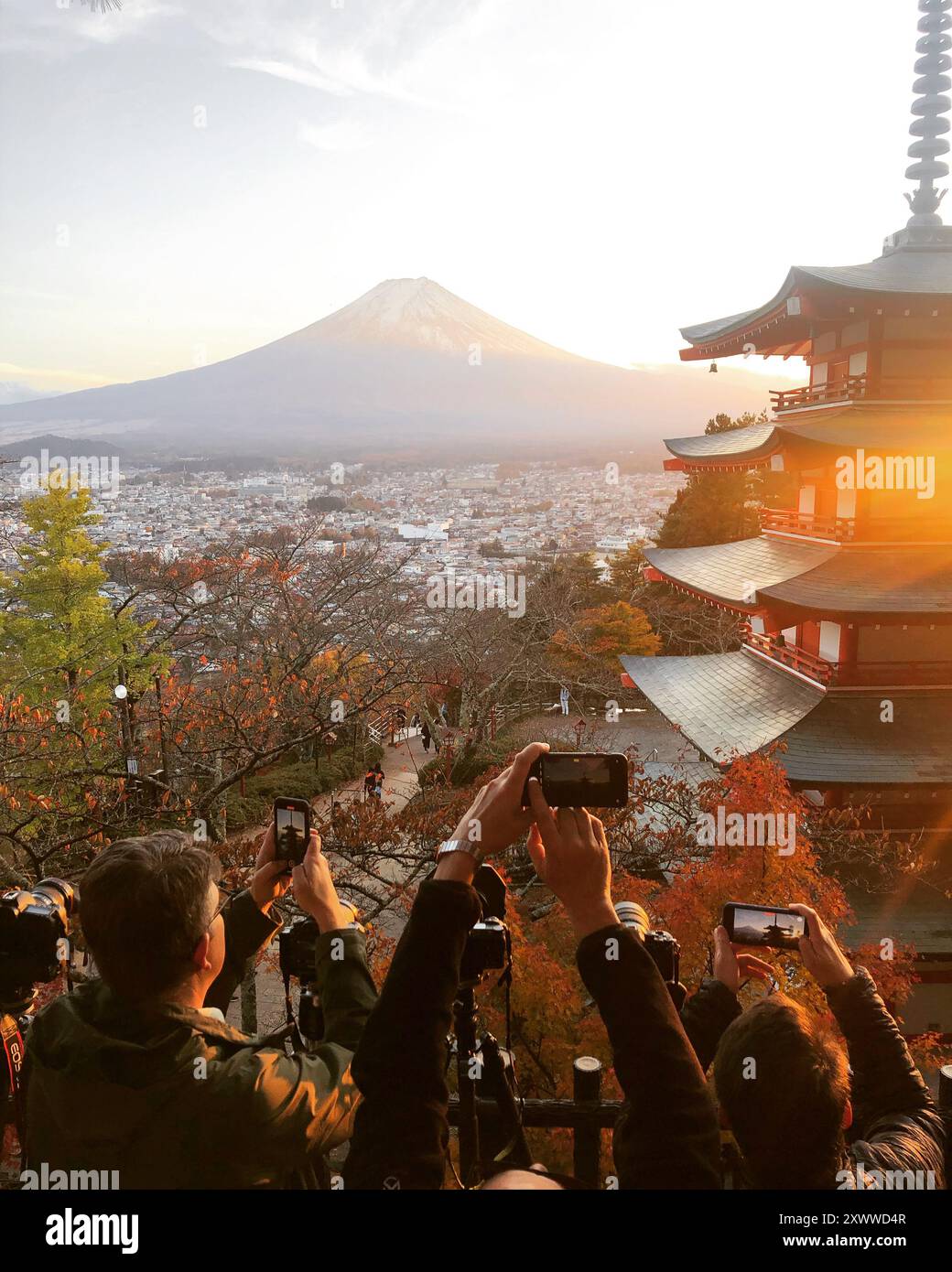 Mount Fuji and the Temple Stock Photo - Alamy