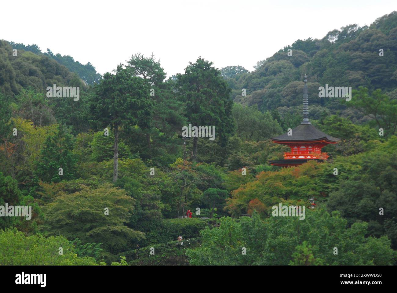 Tranquil forest temple hi-res stock photography and images - Alamy