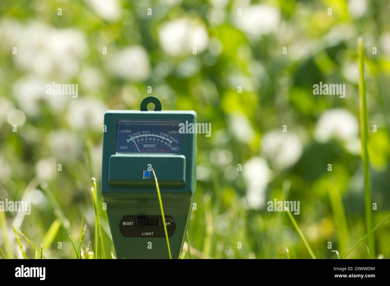 Green plants and three way meter PH, light and moisture in the soil ...