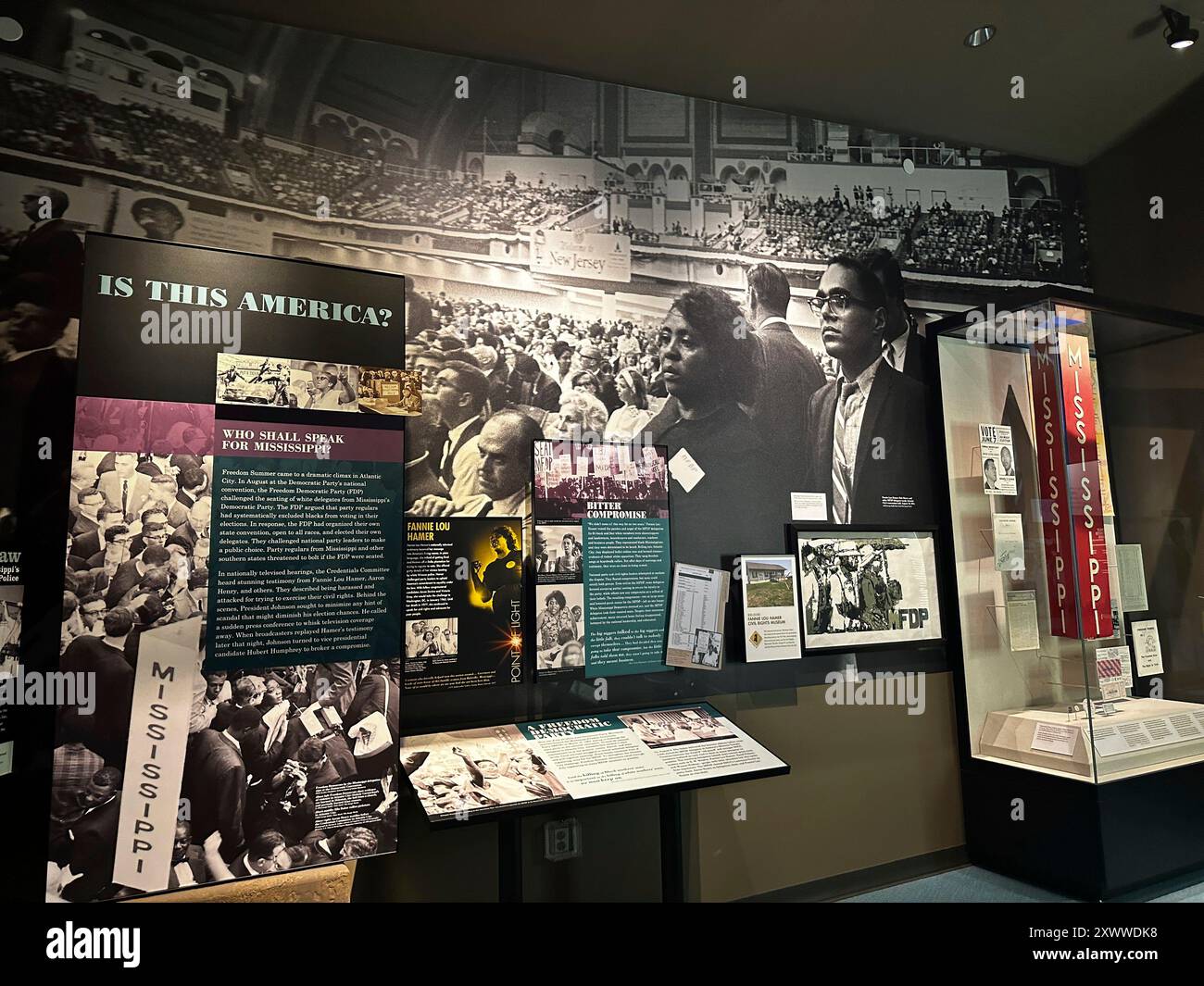 A collection of photographs from the 1964 Democratic National ...