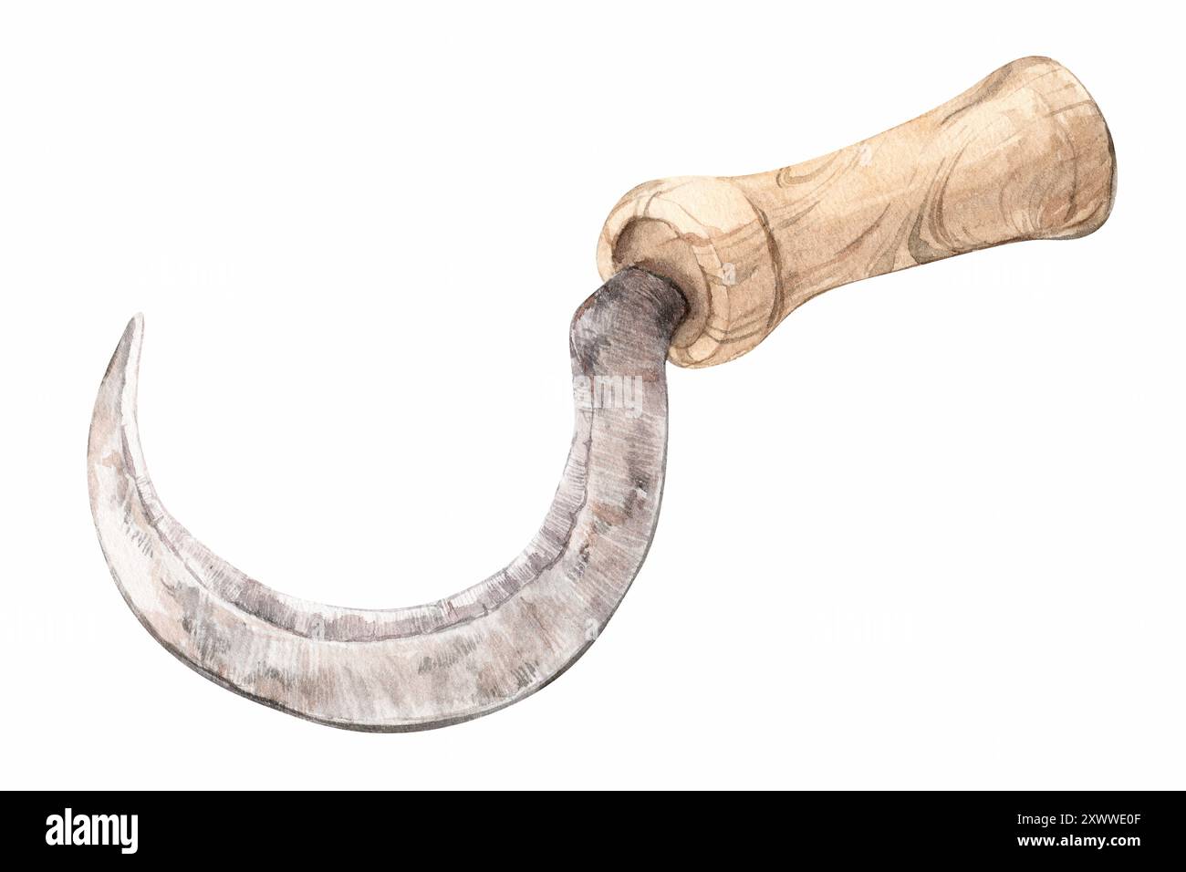 Garden sickle on a white background. A tool for harvesting, medicinal ...