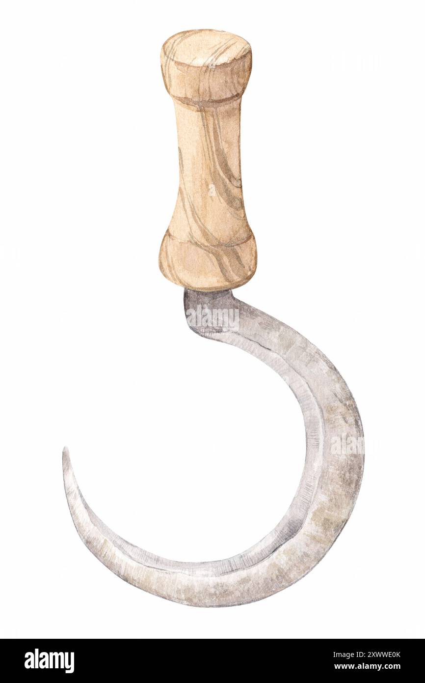Garden sickle on a white background. A tool for harvesting, medicinal ...