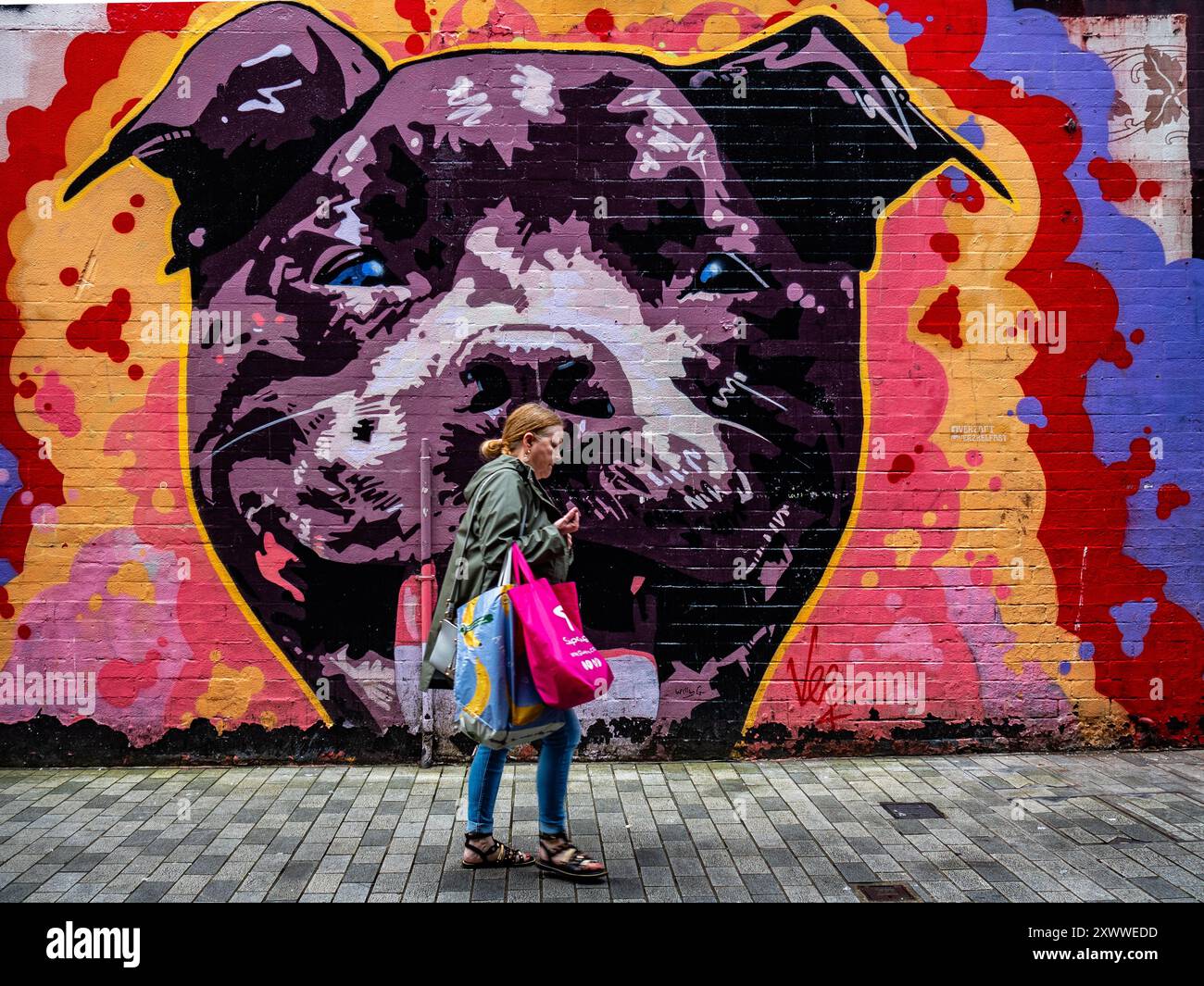 A woman walks by a graffiti of a dog. Belfast's visitor economy has ...