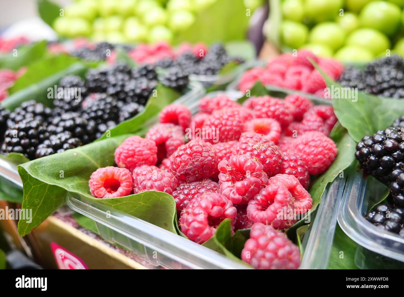 Enjoy Fresh Raspberries and Blackberries Available at the Local Market ...