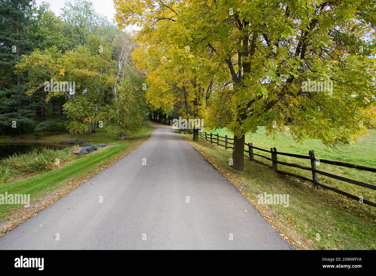 Driveway to estate farm house Stock Photo - Alamy