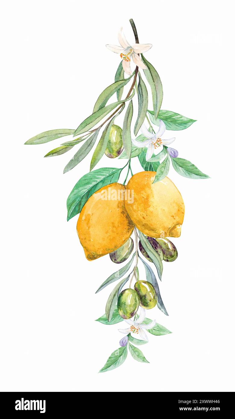 Invitation composition Cut Out Stock Images & Pictures - Alamy