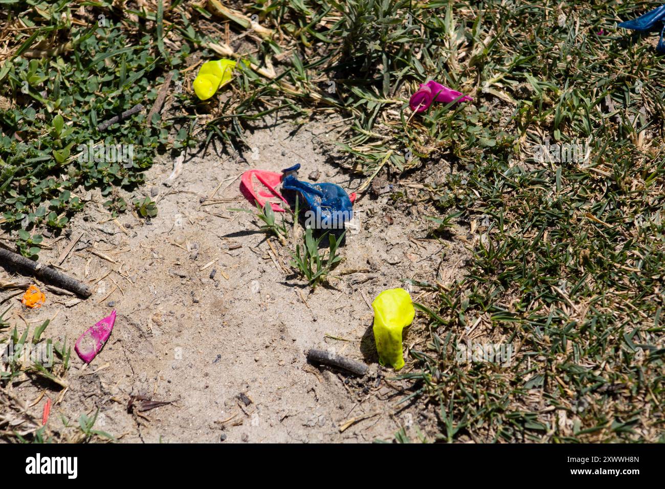 colorful water balloon fragments after party Stock Photo - Alamy