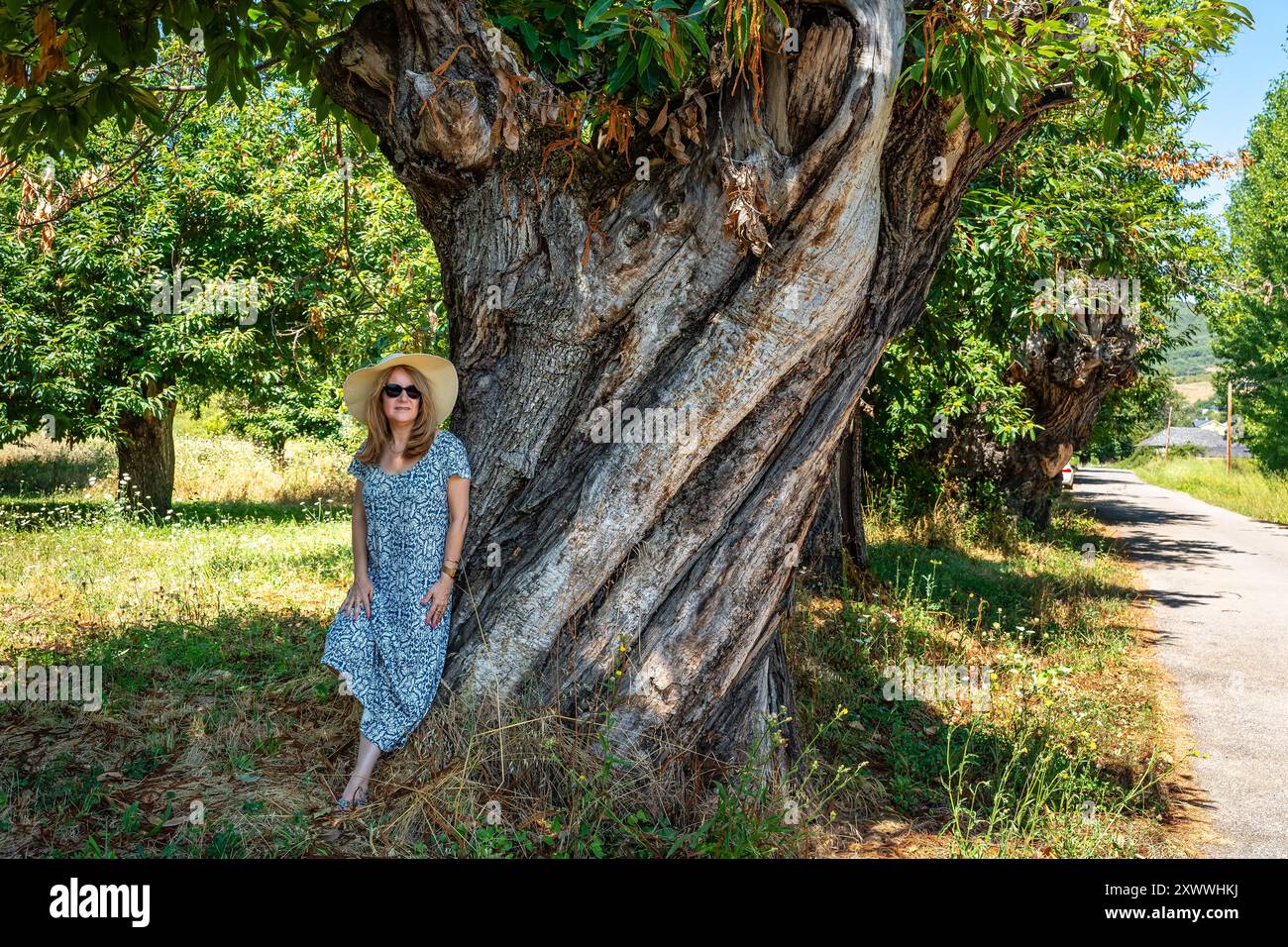 Portrait of senior white woman next to a huge tree hundreds of years ...