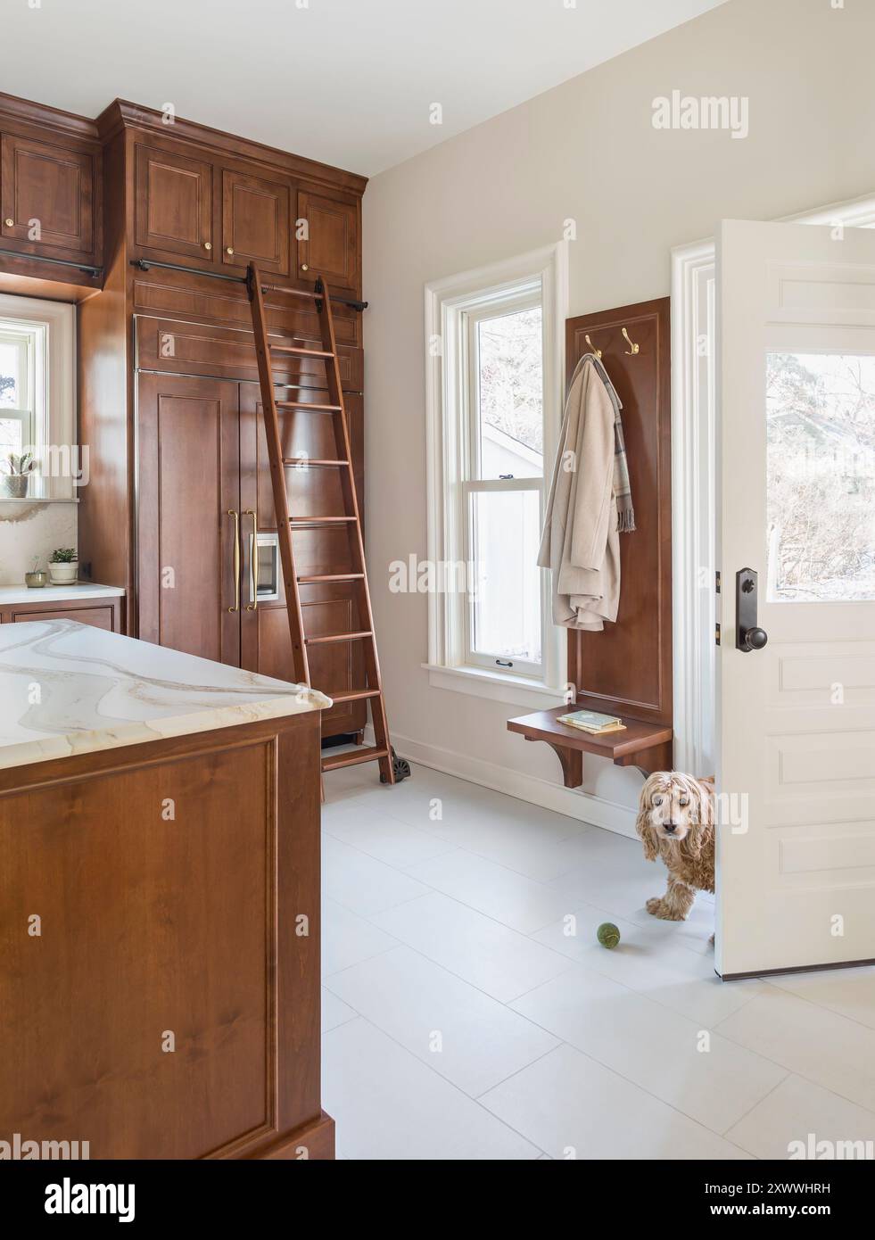 Dog coming in back door of kitchen Stock Photo - Alamy