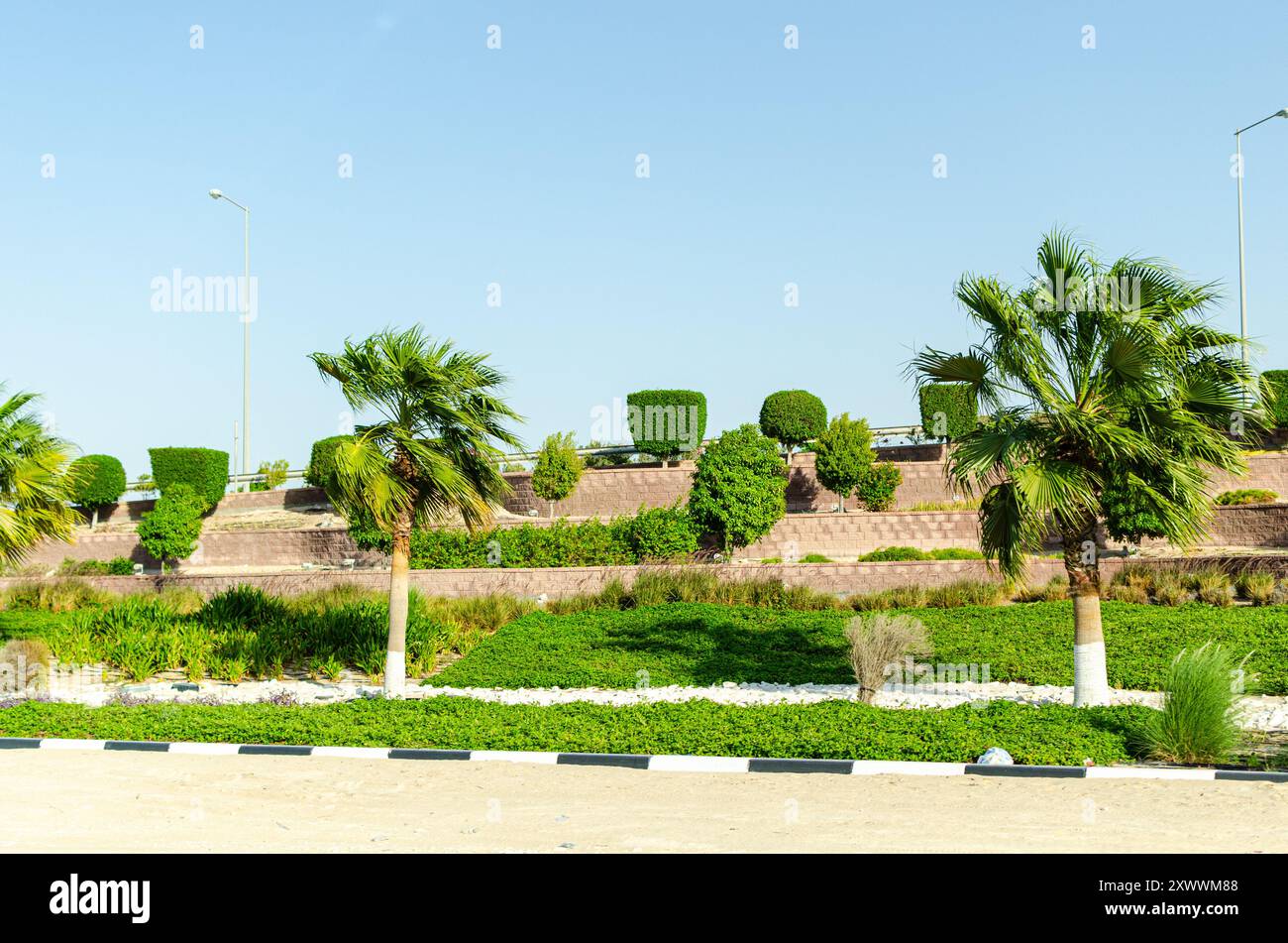 Roadside landscaping at Qatar Stock Photo - Alamy