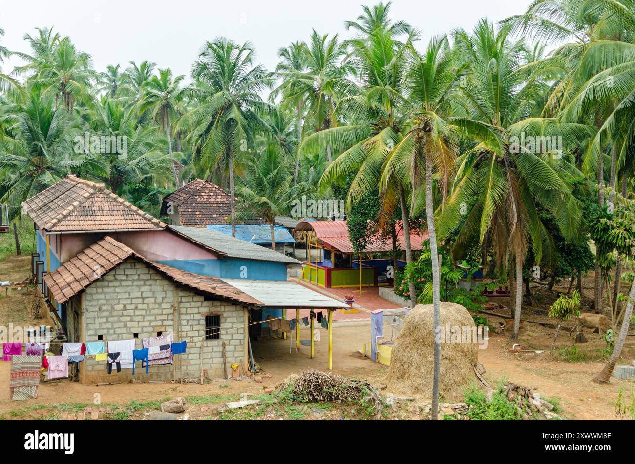 landscape of rural India along the Konkan Railway route from Goa to ...
