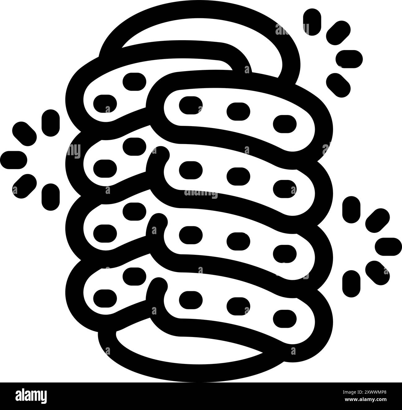 Simple illustration of bacteria cells dividing and multiplying at an ...