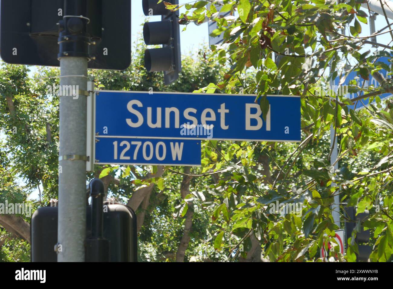 Los Angeles, California, USA 19th August 2024 Actor Bruce Willis Home ...