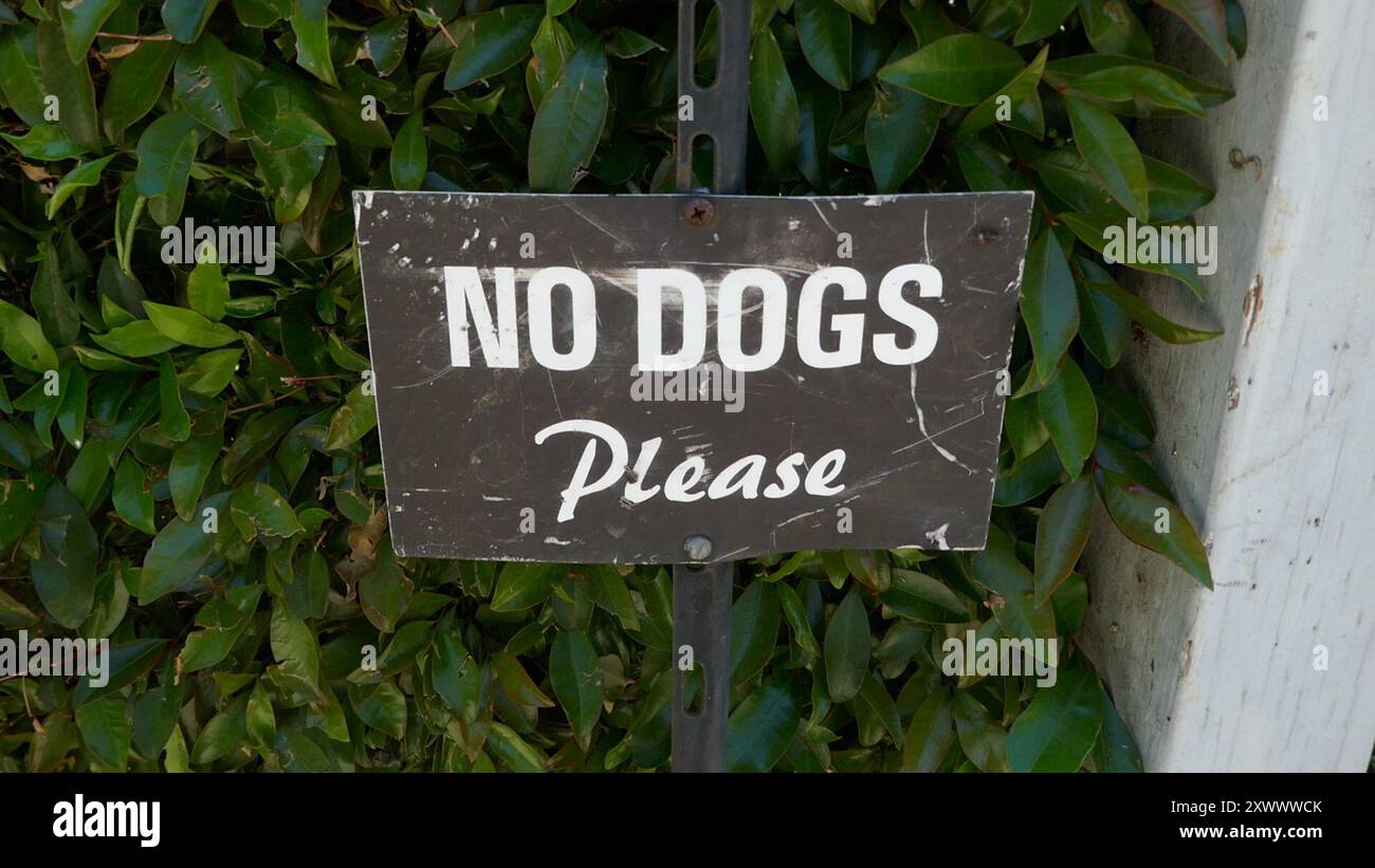 Los Angeles, California, USA 19th August 2024 No Dogs Please Sign at ...