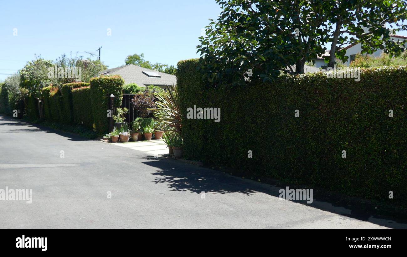 Los Angeles, California, USA 19th August 2024 Actress Julie Newmar Home ...