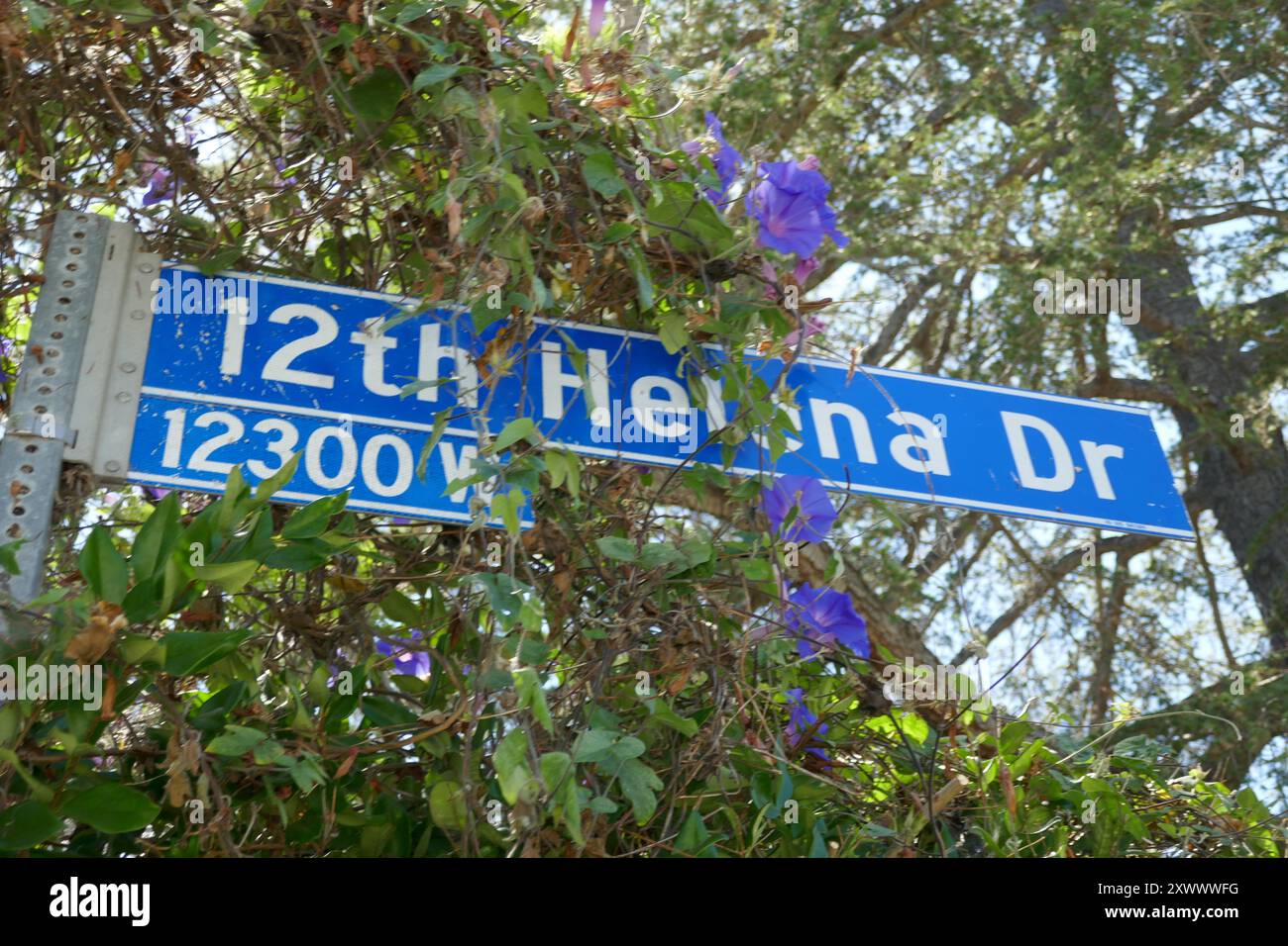 Los Angeles, California, USA 19th August 2024 12th Helena Drive on ...