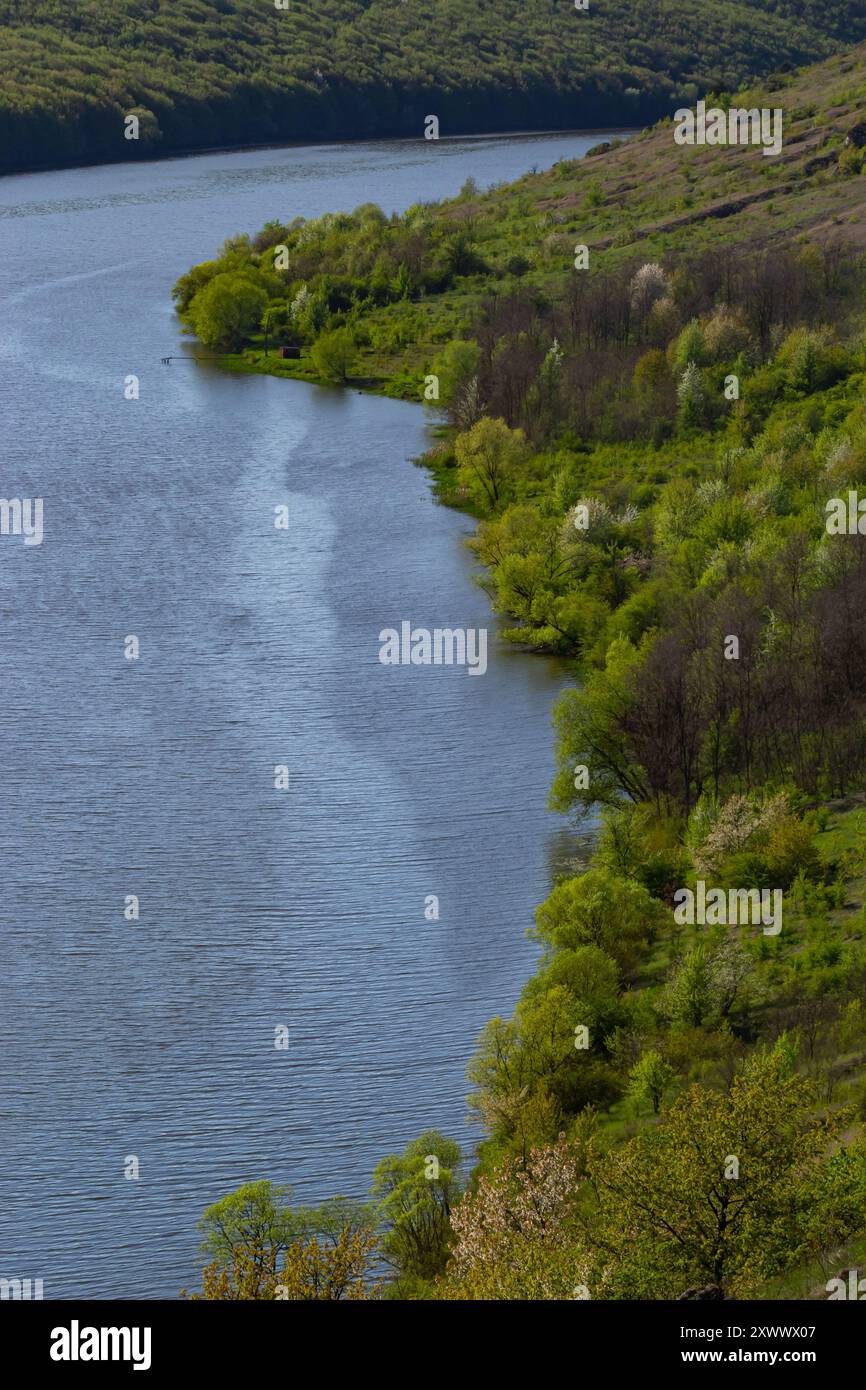 wide river in green banks overgrown with woods Stock Photo - Alamy