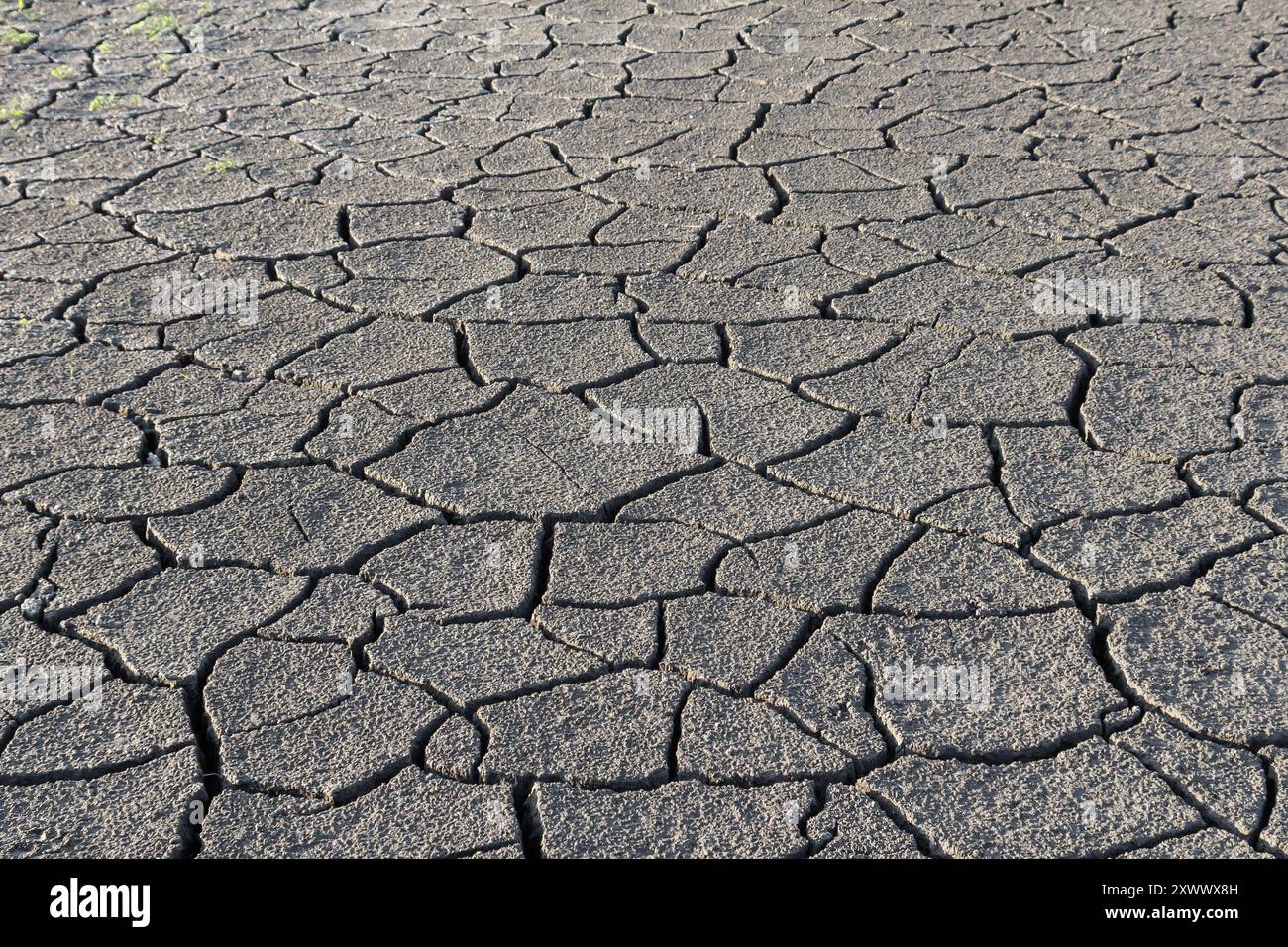 Wall texture soil dry crack pattern of drought lack of water of nature ...