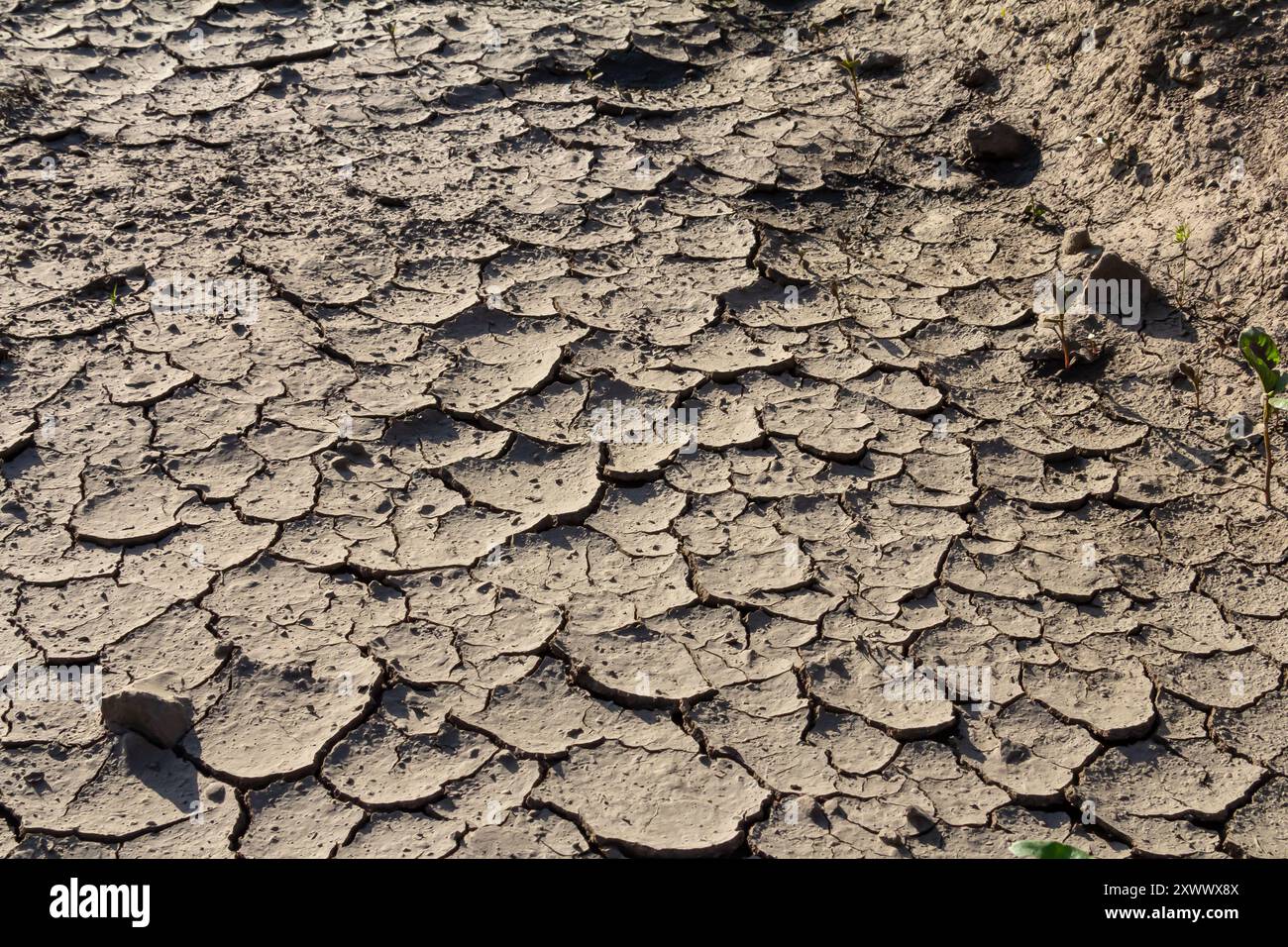 Wall texture soil dry crack pattern of drought lack of water of nature ...