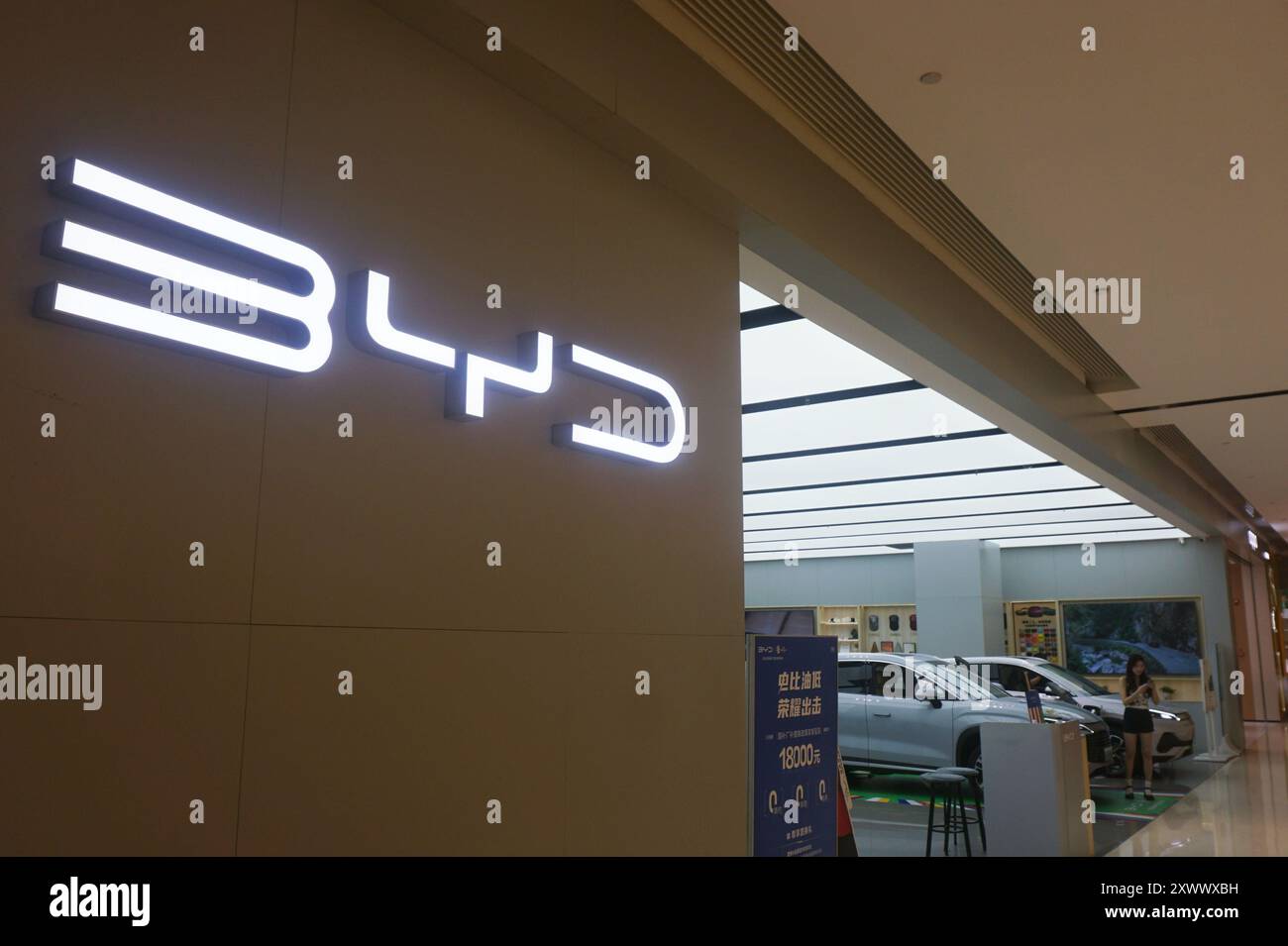 HANGZHOU, CHINA - AUGUST 21, 2024 - Customers learn about BYD's electric cars at a BYD sales ...