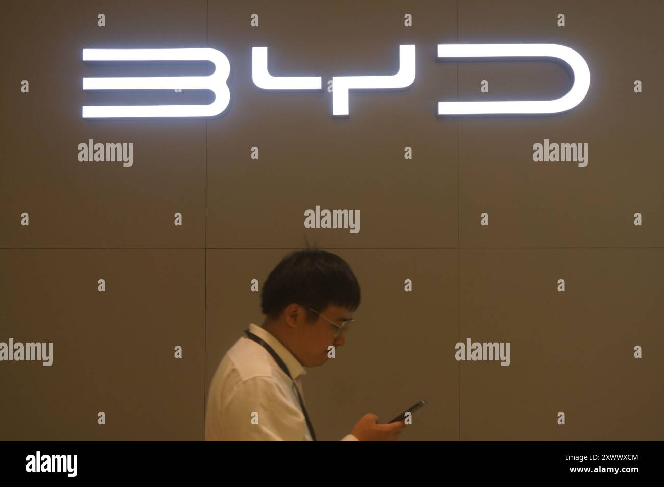 HANGZHOU, CHINA - AUGUST 21, 2024 - Customers learn about BYD's electric cars at a BYD sales ...