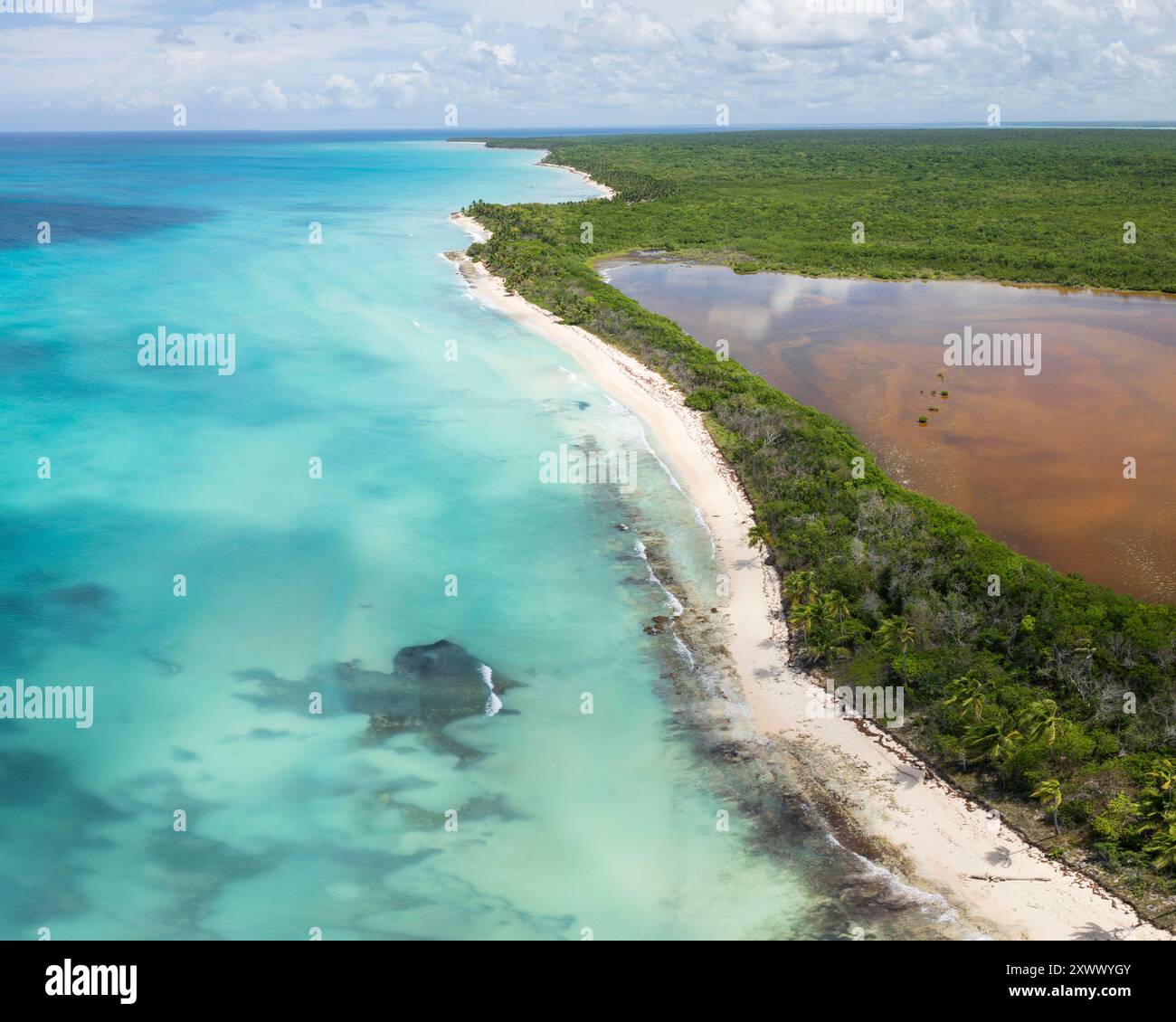 Aerial view of Saona Island in Dominican Republic. Caribbean Sea with ...