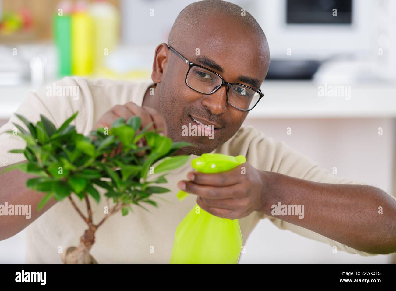 man wearing traditional chinese uniform watering bonsai tree Stock ...