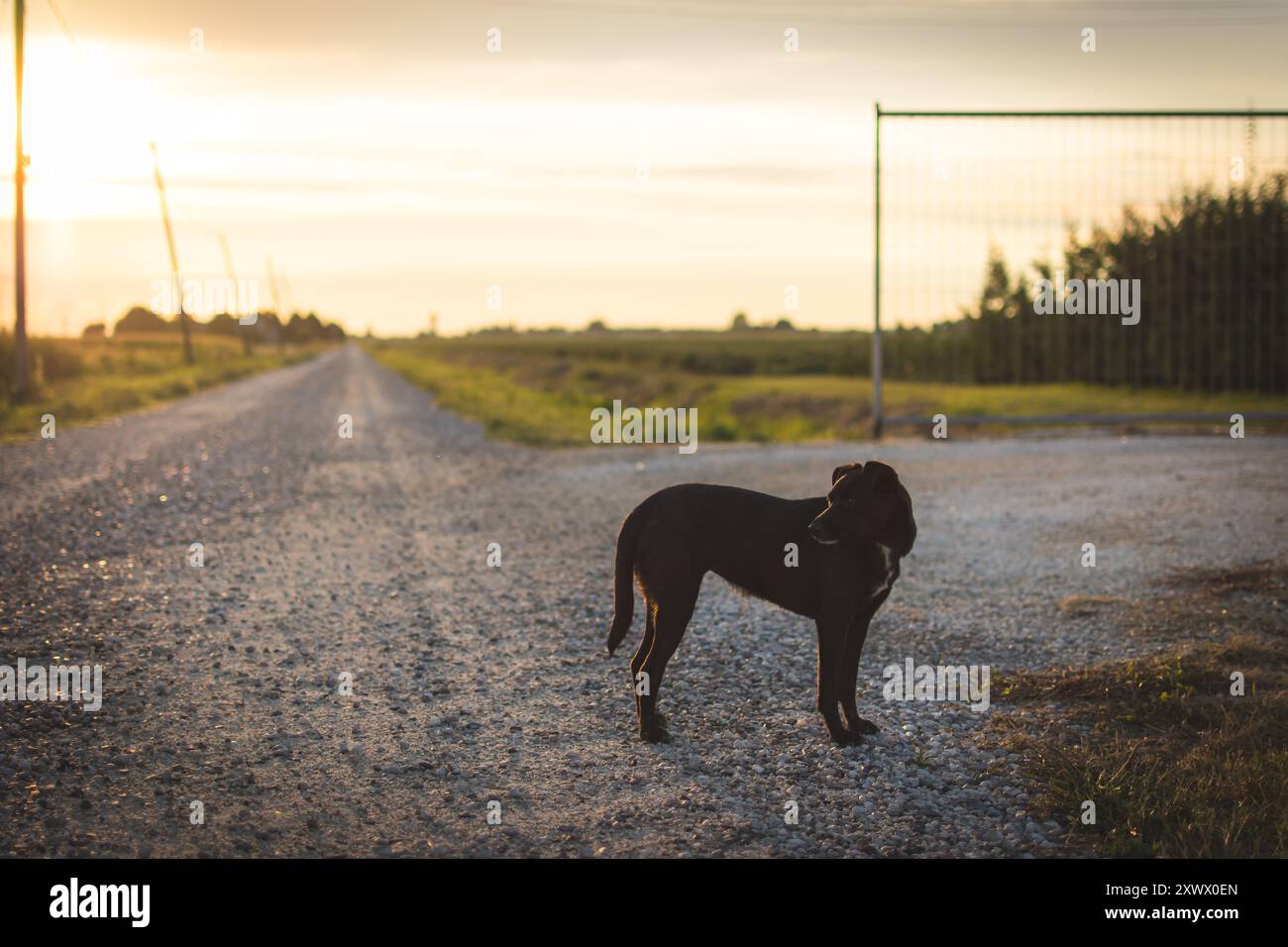 Relief emotion hi-res stock photography and images - Alamy