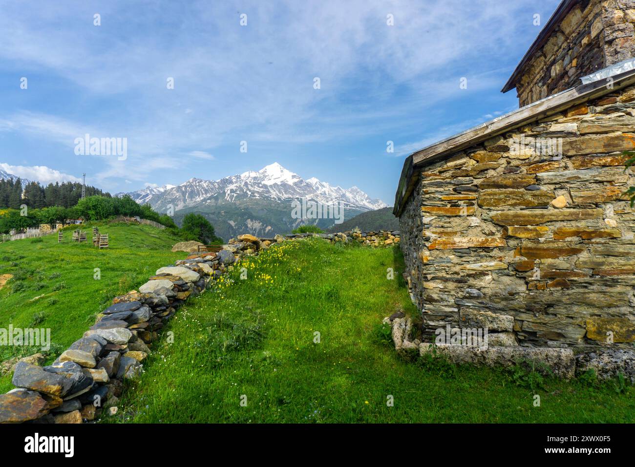 The medieval stone basilica stands on a green field surrounded by a ...