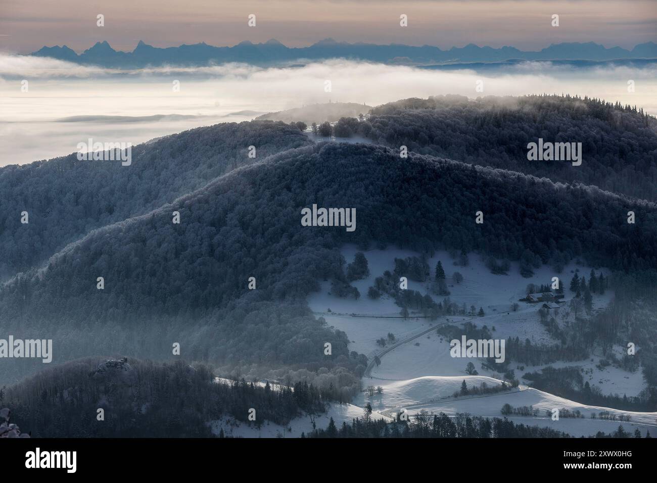 Landscape of the Vosges mountains under snow during the winter cold snap on January 10, 2024 ...
