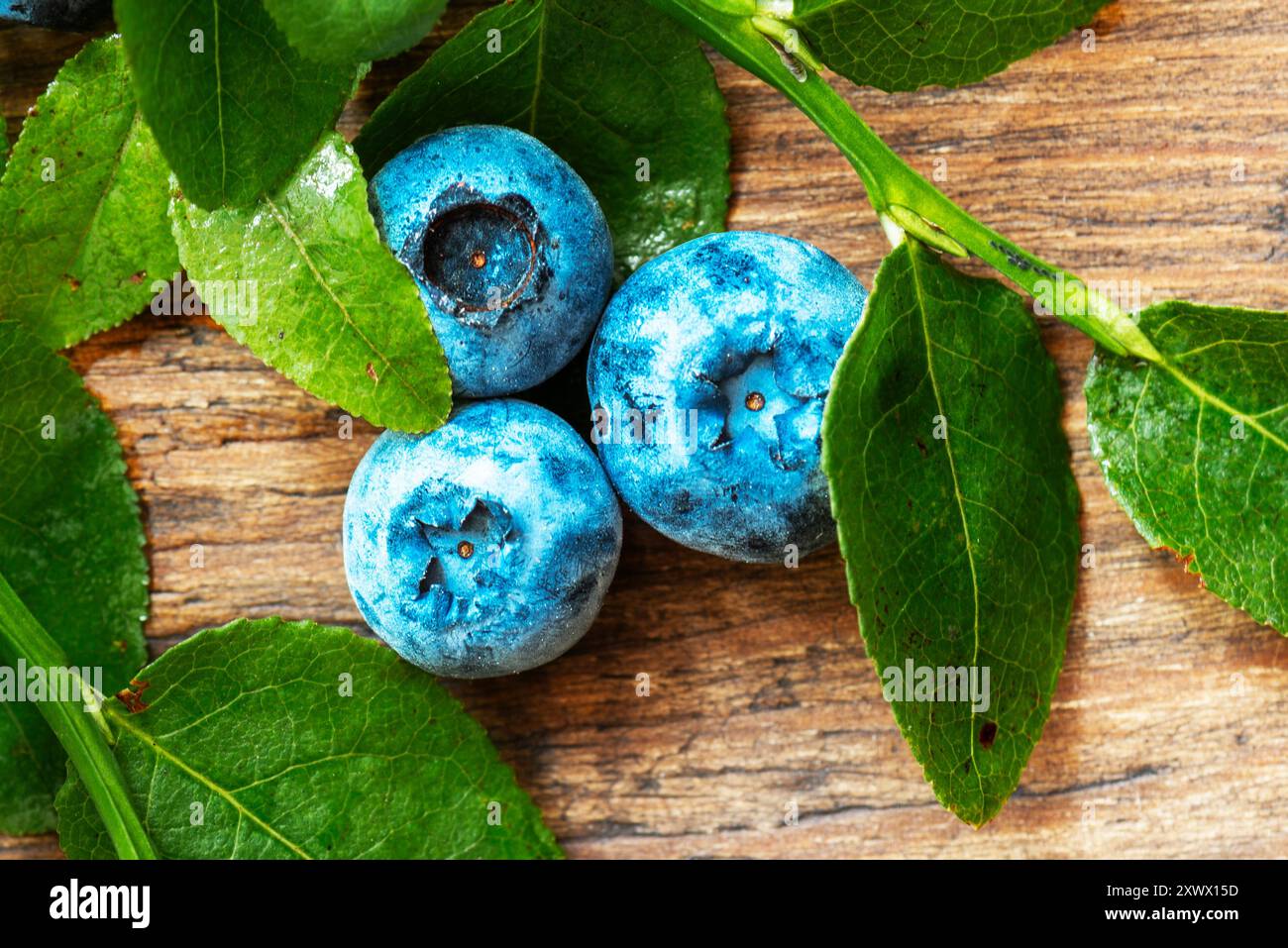 Macro photo of blueberries.Original color.antioxidant healthy food superfood Stock Photo - Alamy