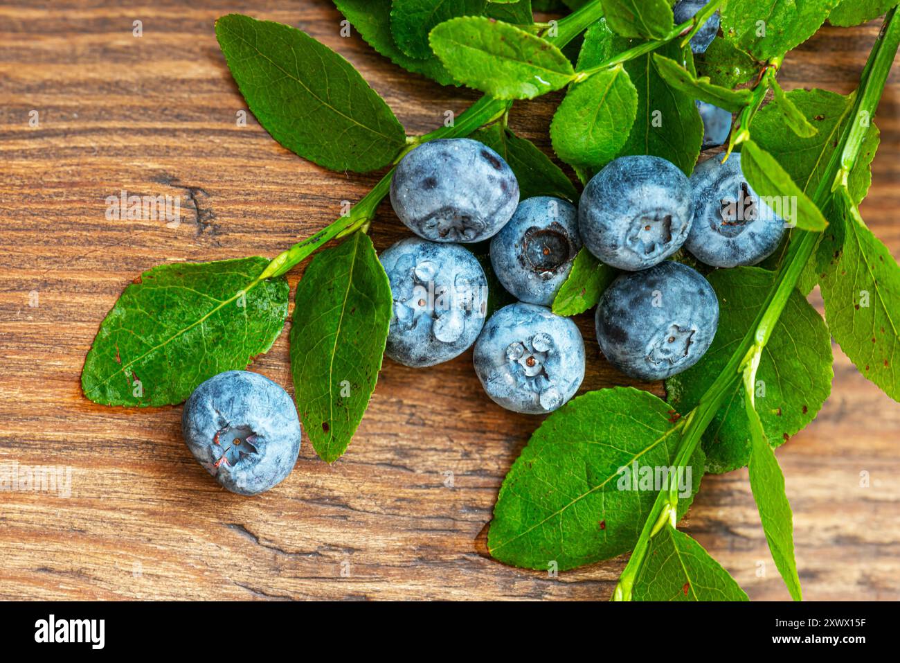 Macro photo of blueberries.Original color.antioxidant healthy food superfood Stock Photo - Alamy