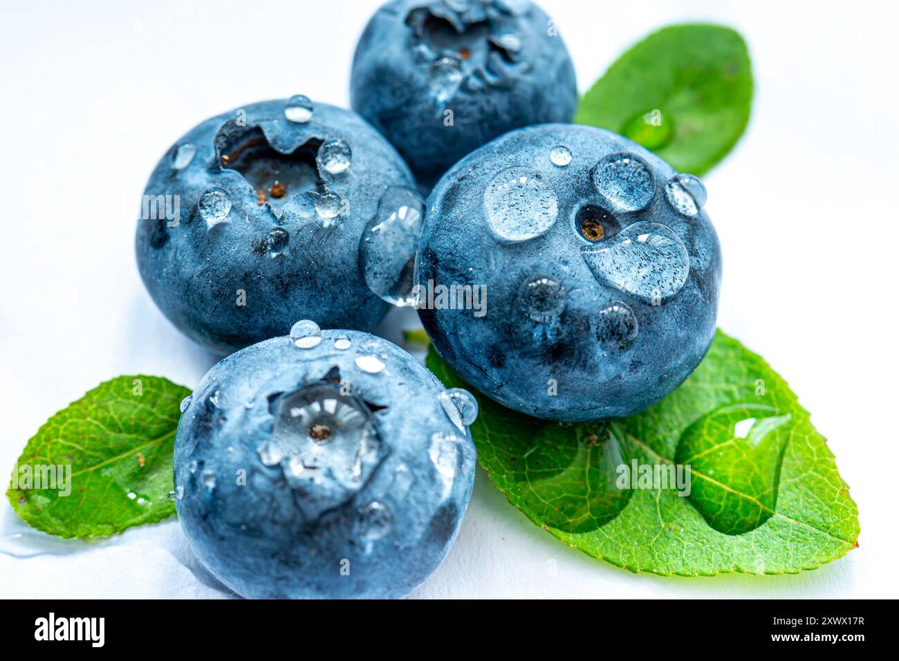 Macro photo of blueberries.Original color.antioxidant healthy food superfood Stock Photo - Alamy