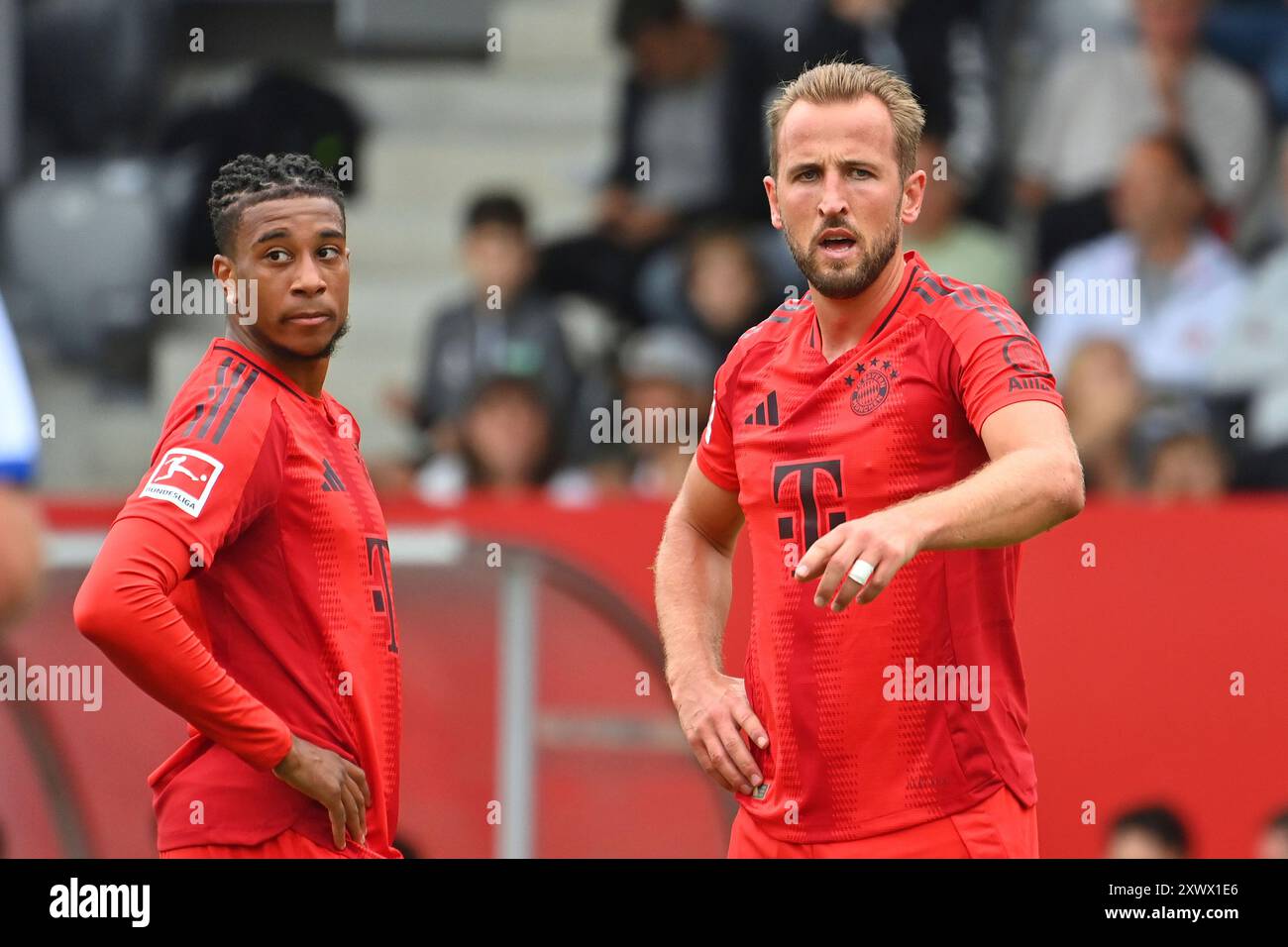 v.right: Harry KANE (FC Bayern Munich), Michael OLISE (FC Bayern Munich ...